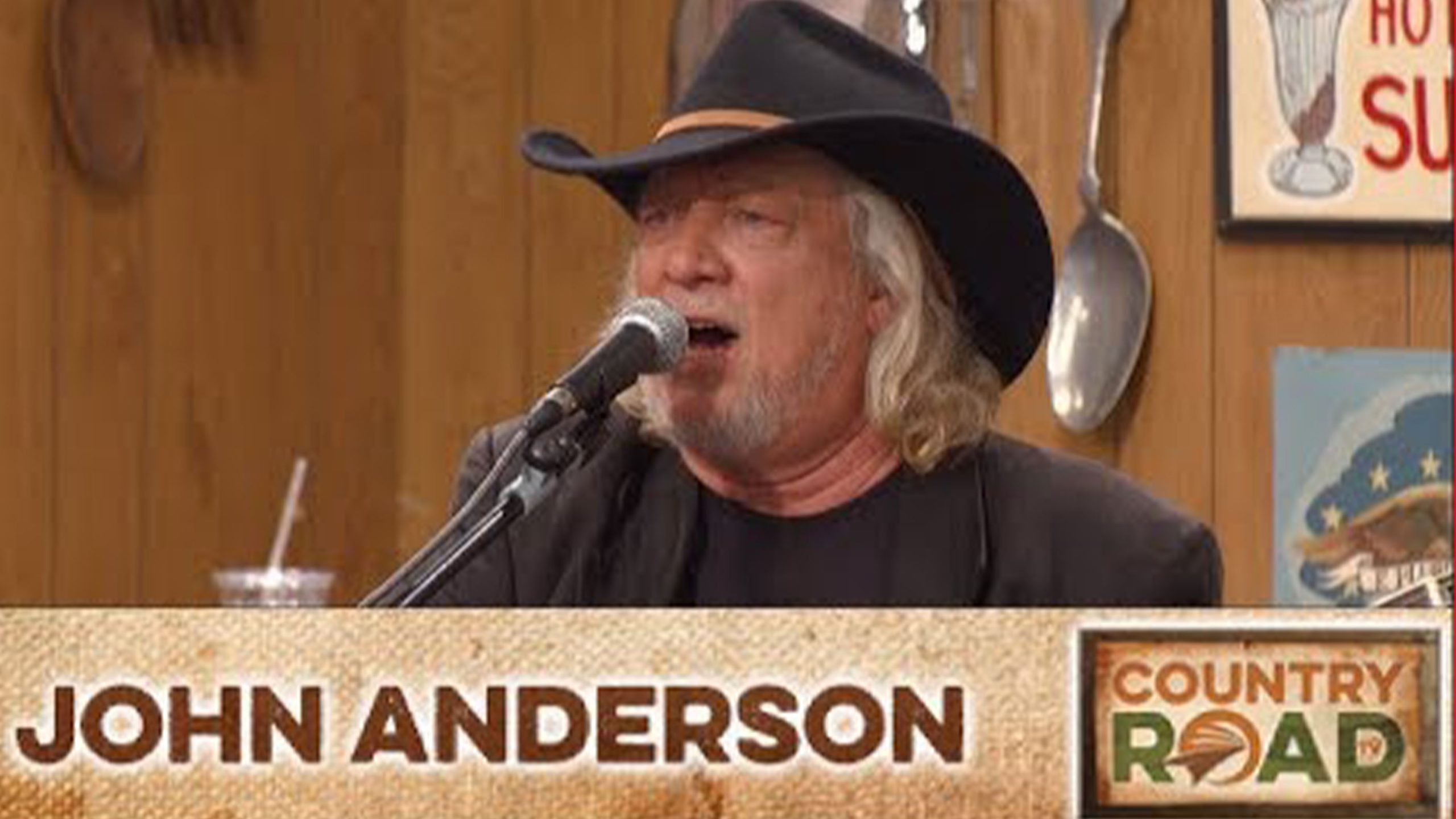 John Anderson - Swingin'
