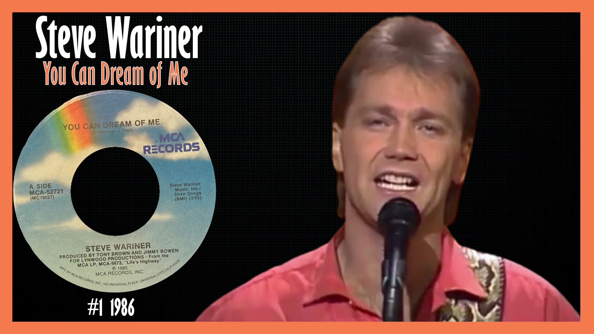 Steve Wariner - You Can Dream of Me